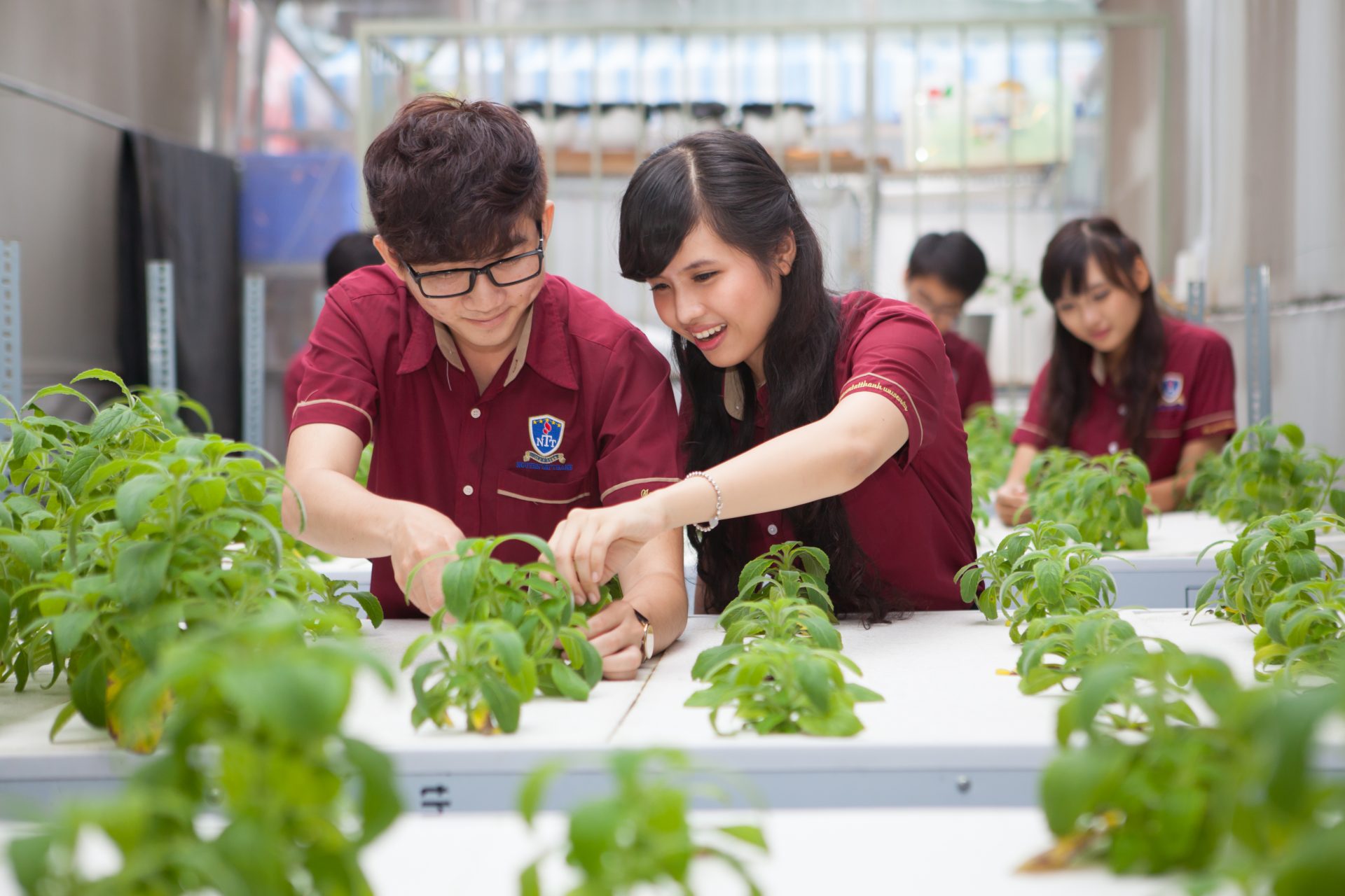 Quản lý tài nguyên và môi trường - Trường Đại học Nguyễn Tất Thành