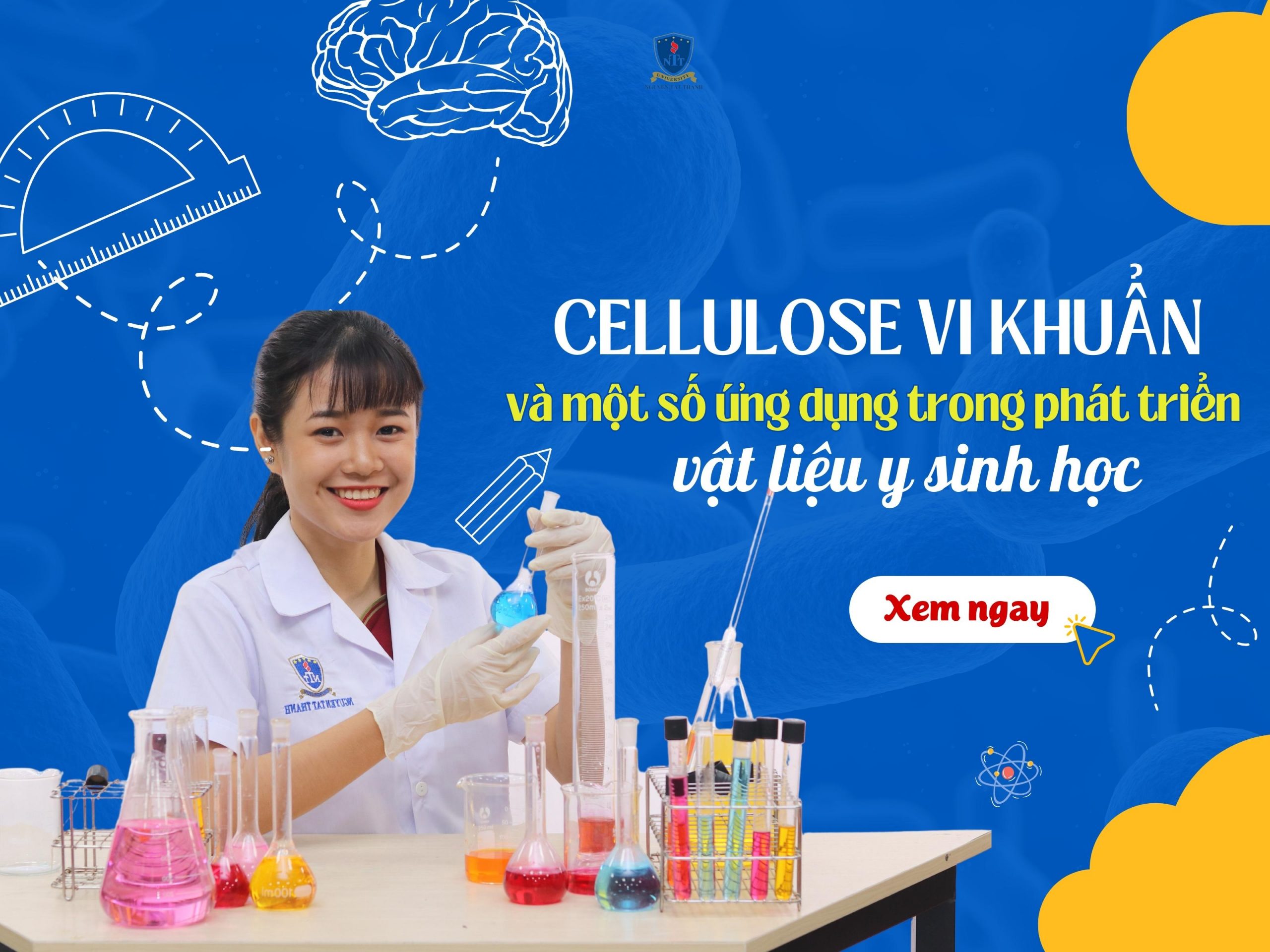 Cellulose vi khuẩn và một số ứng dụng trong phát triển vật liệu y sinh học - Trường Đại học ...